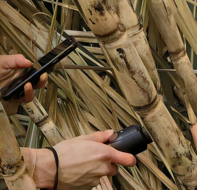 Knowledge Base - NIRLAB